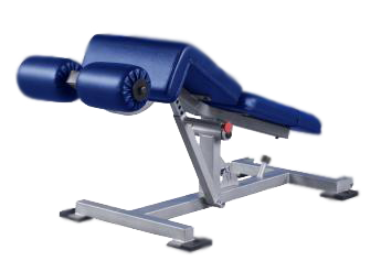 Promaxima Decline Adjustable Ab Bench | Buy & Sell Fitness